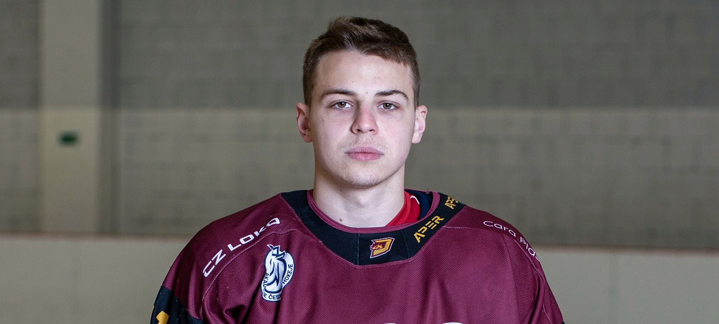 HC Dukla Jihlava – Profil hráče – David Straka